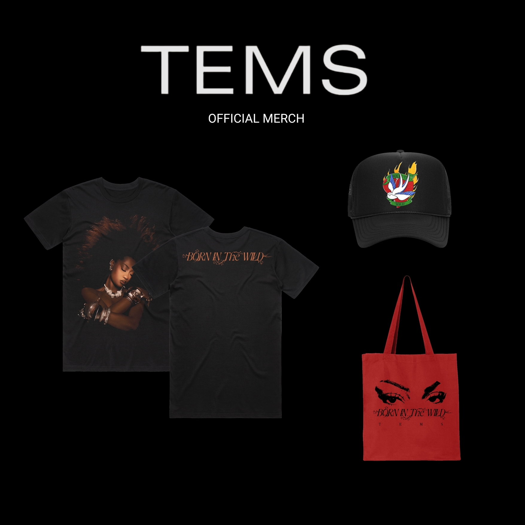 Tems | Official Website